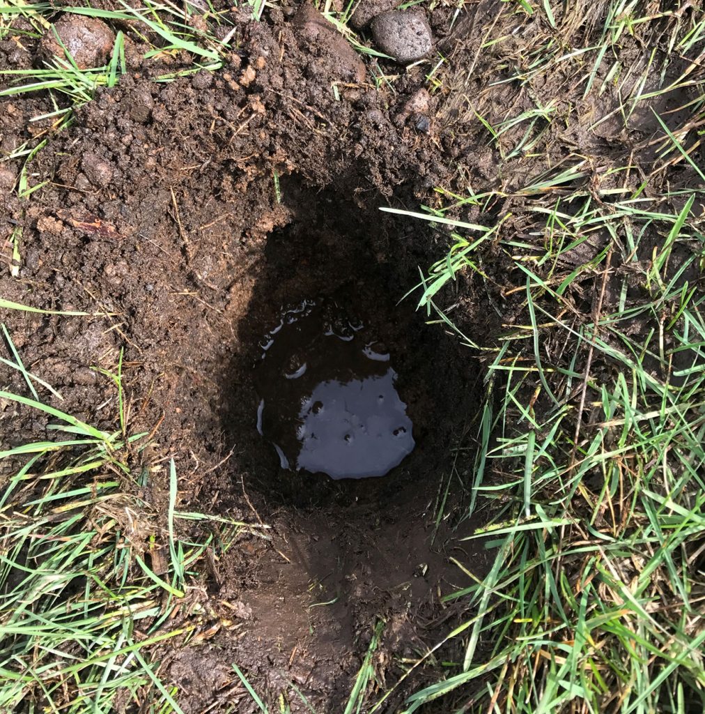 How Can This Be a Wetland When There Is No Water Here? - Soundview ...